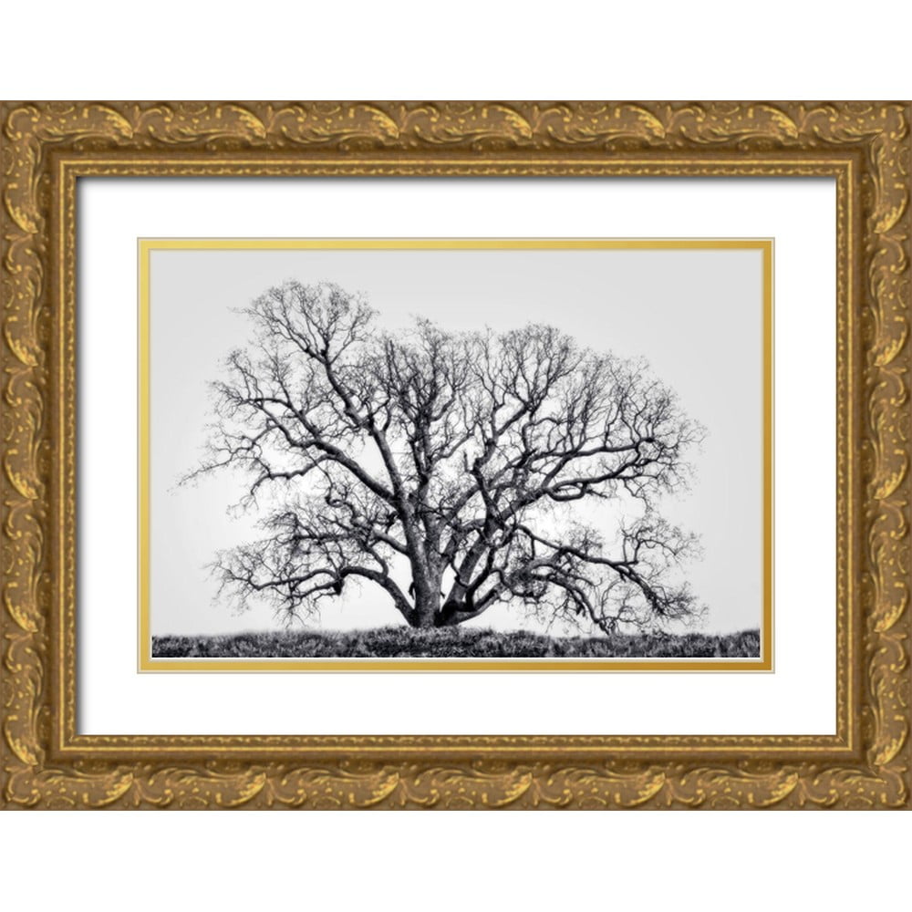 Perry, Rachel 14x11 Gold Ornate Wood Framed with Double Matting Museum ...