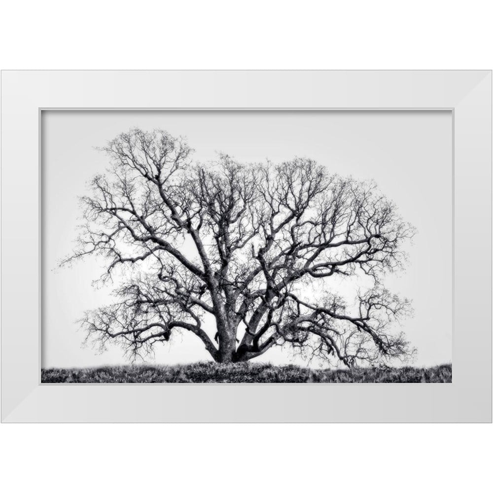Perry, Rachel 14x11 White Modern Wood Framed Museum Art Print Titled ...