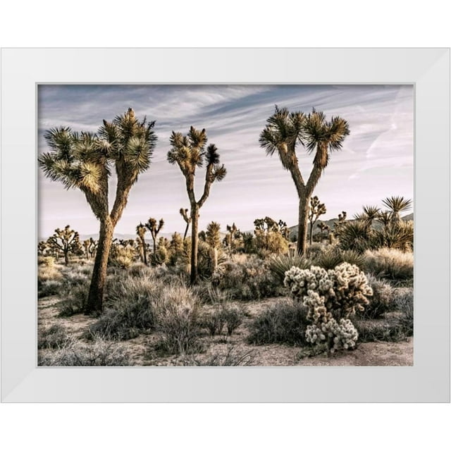 Perry, Rachel 14x12 White Modern Wood Framed Museum Art Print Titled ...