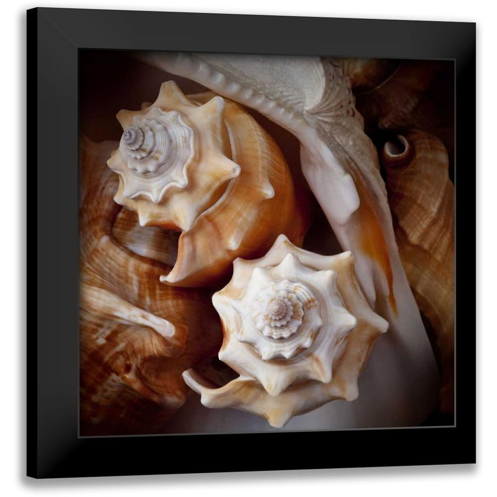 Perry, Rachel 15x15 Black Modern Framed Museum Art Print Titled - Macro ...