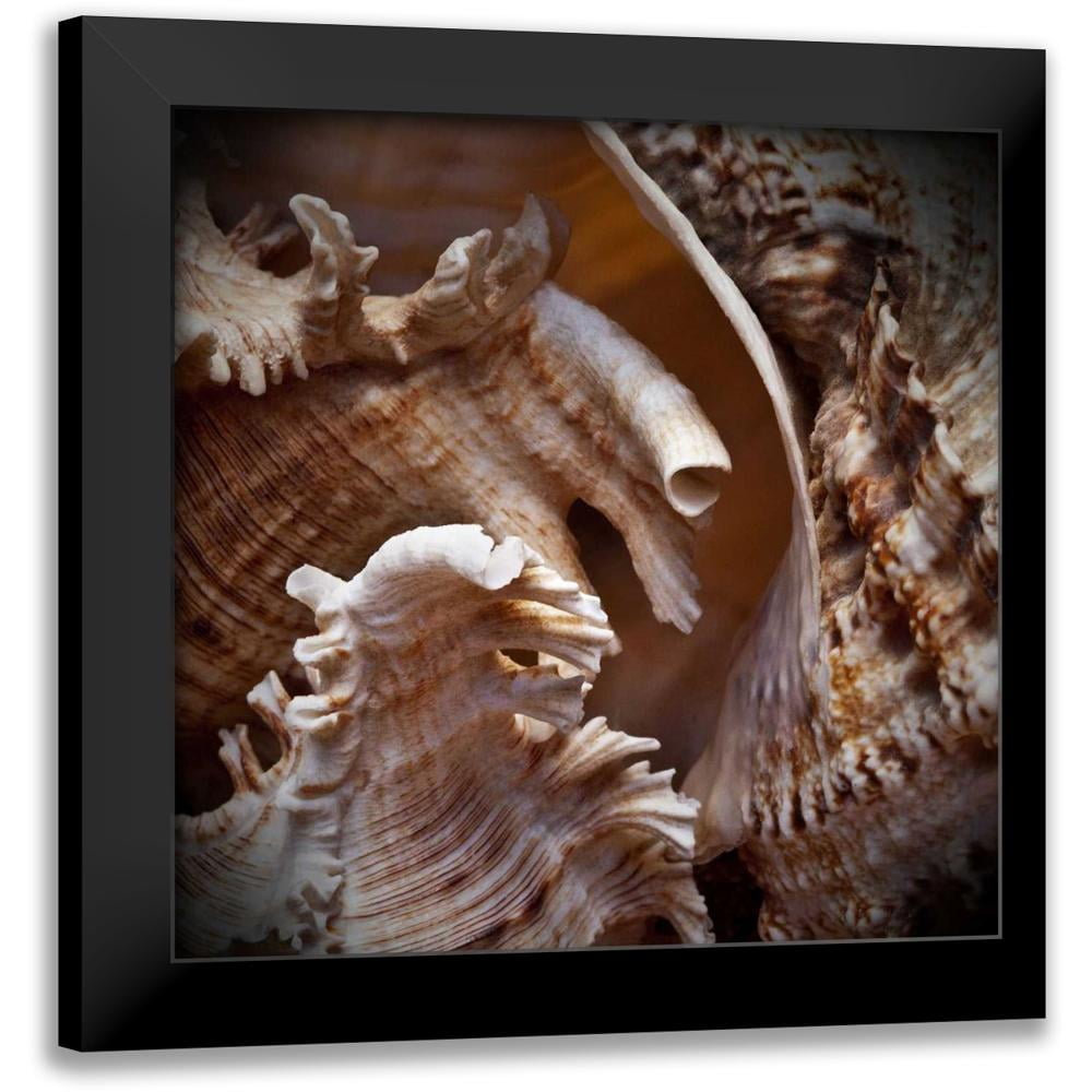 Perry, Rachel 15x15 Black Modern Framed Museum Art Print Titled - Macro ...