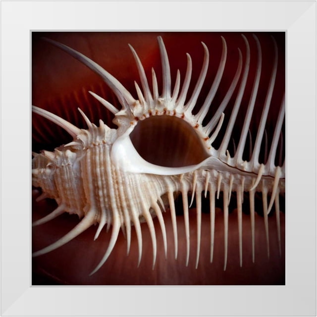 Perry, Rachel 20x20 White Modern Wood Framed Museum Art Print Titled ...