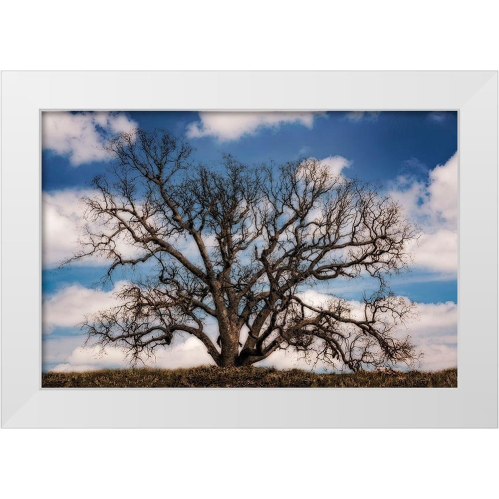 Perry, Rachel 24x17 White Modern Wood Framed Museum Art Print Titled ...