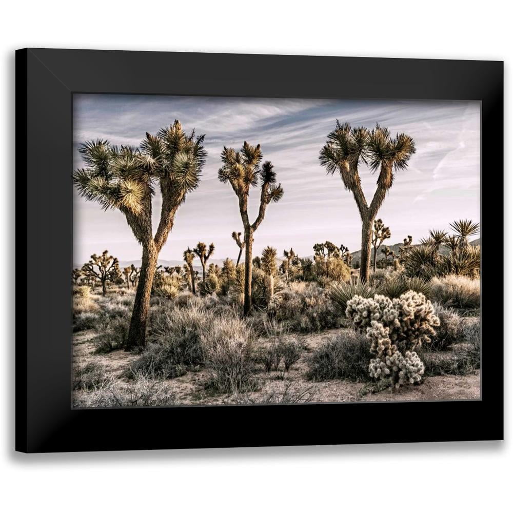 Perry, Rachel 24x19 Black Modern Framed Museum Art Print Titled - Views ...