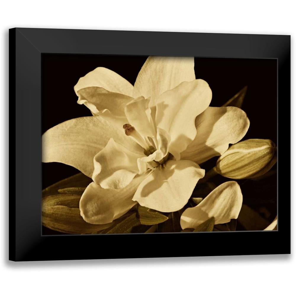 Perry, Rachel 24x19 Black Modern Framed Museum Art Print Titled ...