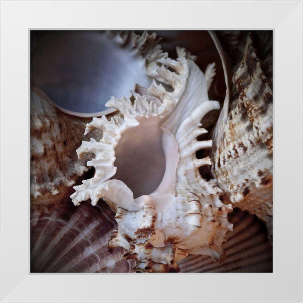 Perry, Rachel 26x26 White Modern Wood Framed Museum Art Print Titled ...