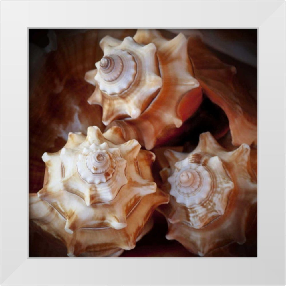 Perry, Rachel 26x26 White Modern Wood Framed Museum Art Print Titled ...