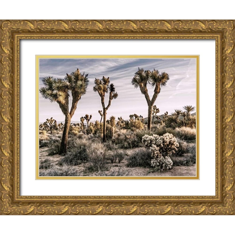 Perry, Rachel 32x25 Gold Ornate Wood Framed with Double Matting Museum ...
