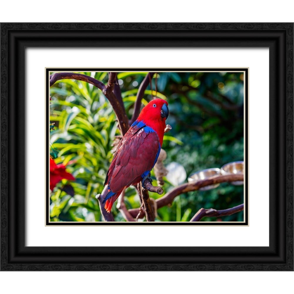 Perry, William 14x12 Black Ornate Wood Framed with Double Matting ...