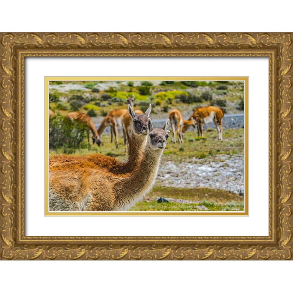 Perry, William 18x13 Gold Ornate Wood Framed with Double Matting Museum ...