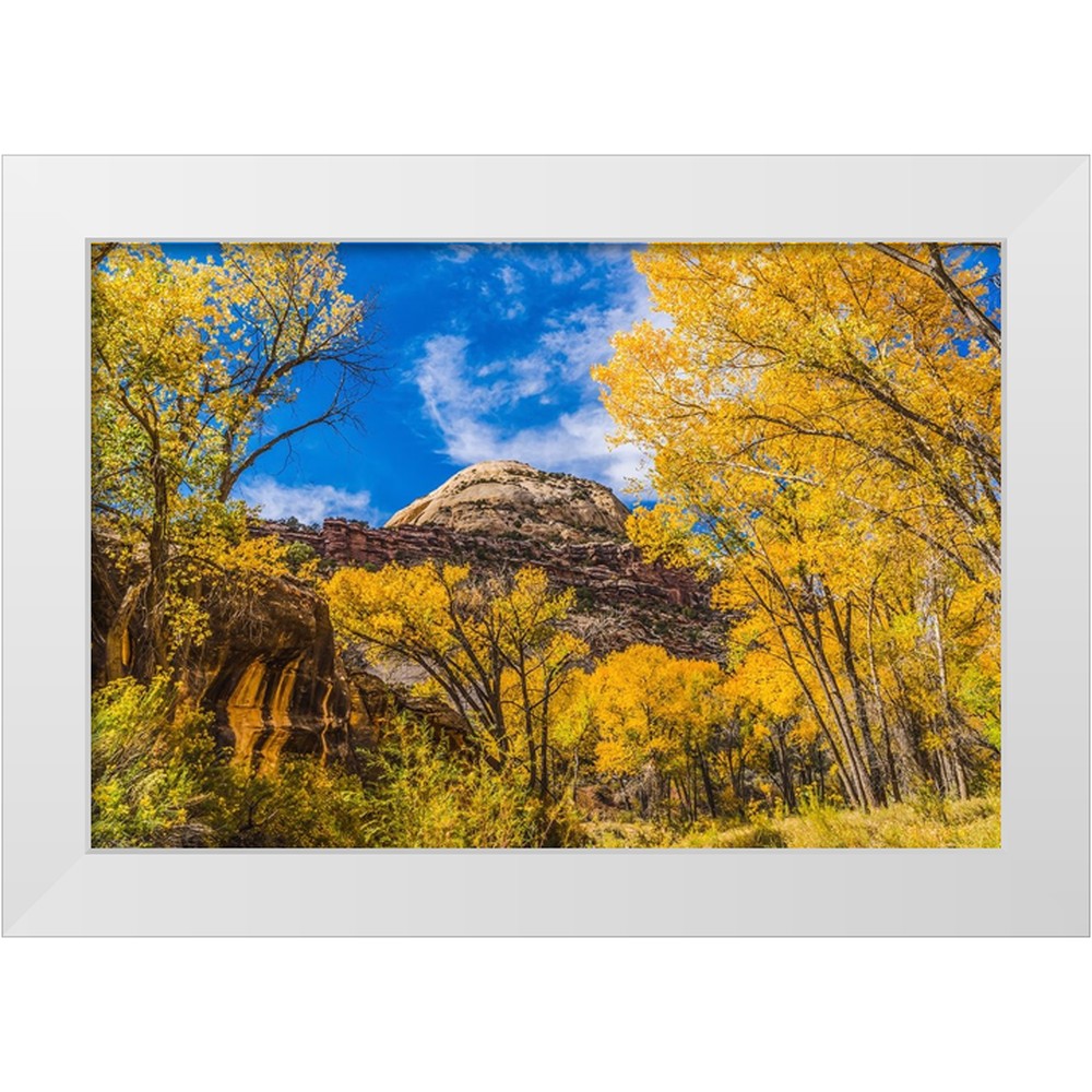 Perry, William 18x13 White Modern Wood Framed Museum Art Print Titled ...