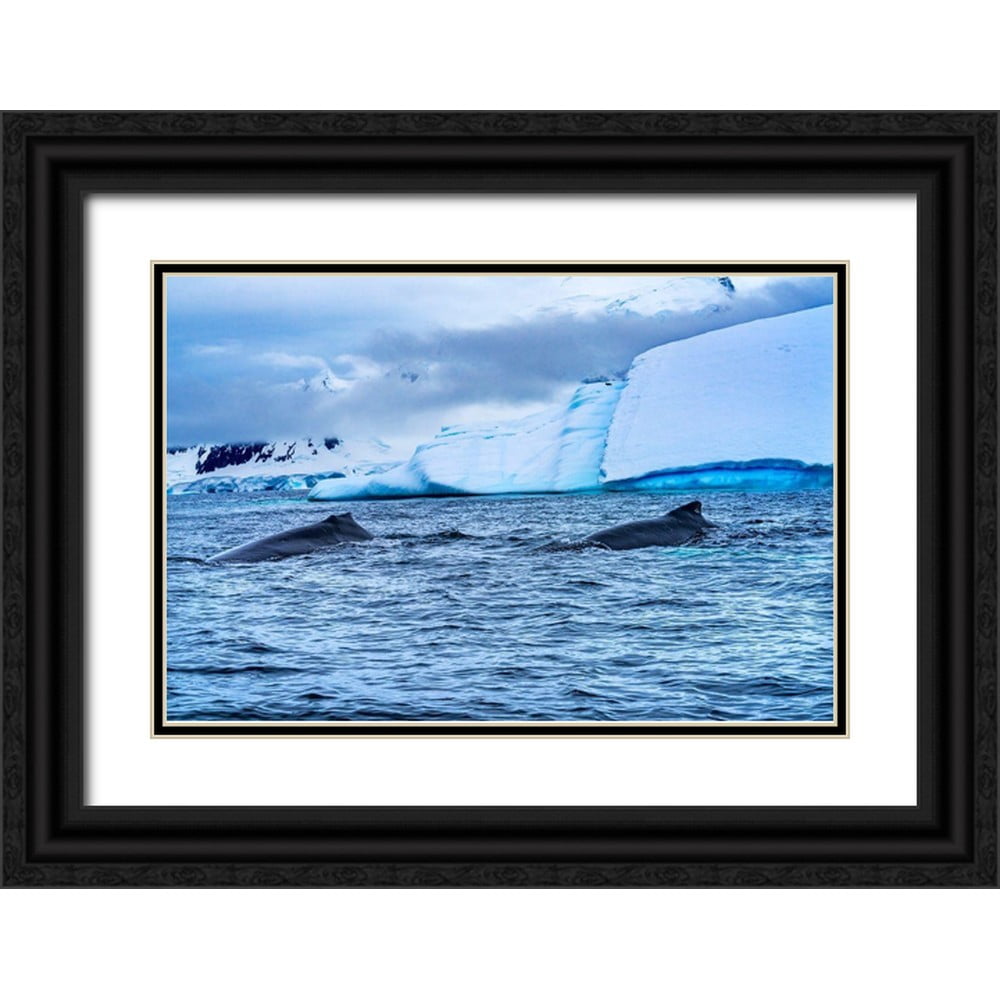 Perry, William 24x17 Black Ornate Wood Framed with Double Matting ...