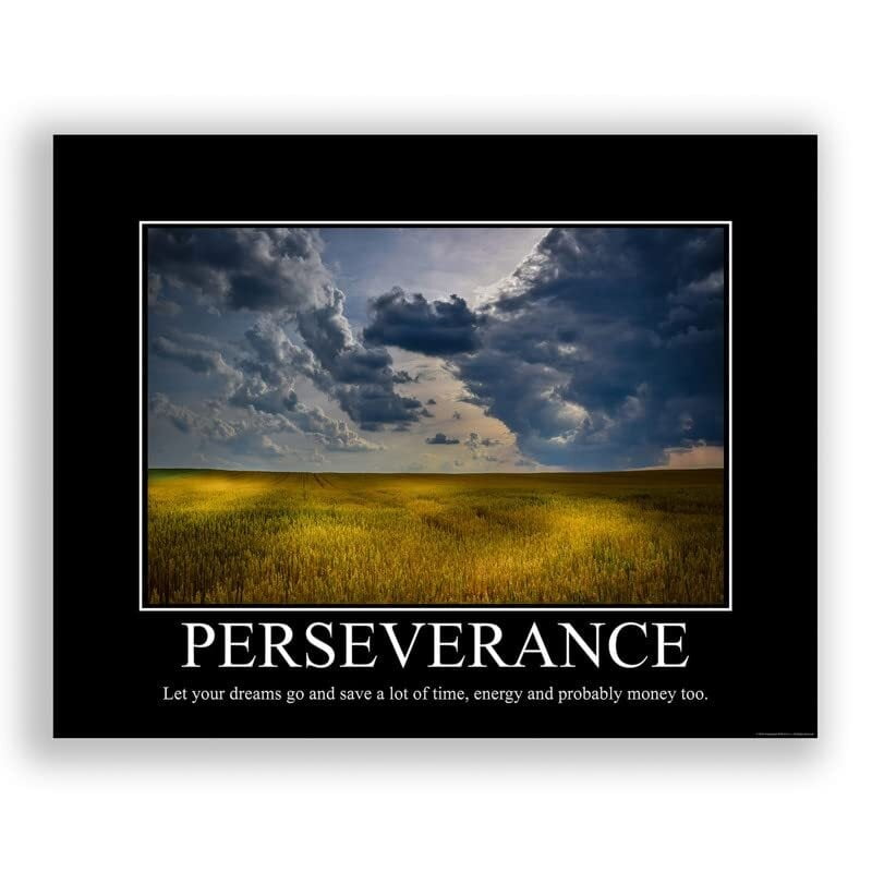 Perseverance Demotivational Poster Ironic Snarky Funny Sarcastic Office ...