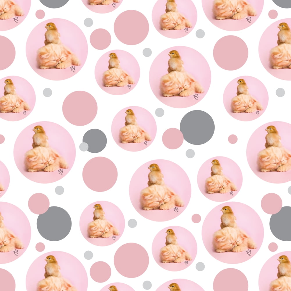 Persian Kitten Cat and Chicken Chick Premium Gift Wrap Wrapping Paper ...
