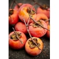 CZ Grain 50 Persimmon Tree Seeds, Easy to Grow - Walmart.com