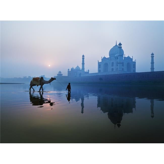 Person And Camel In Front Of Taj Mahal; Agra India Poster Print ...