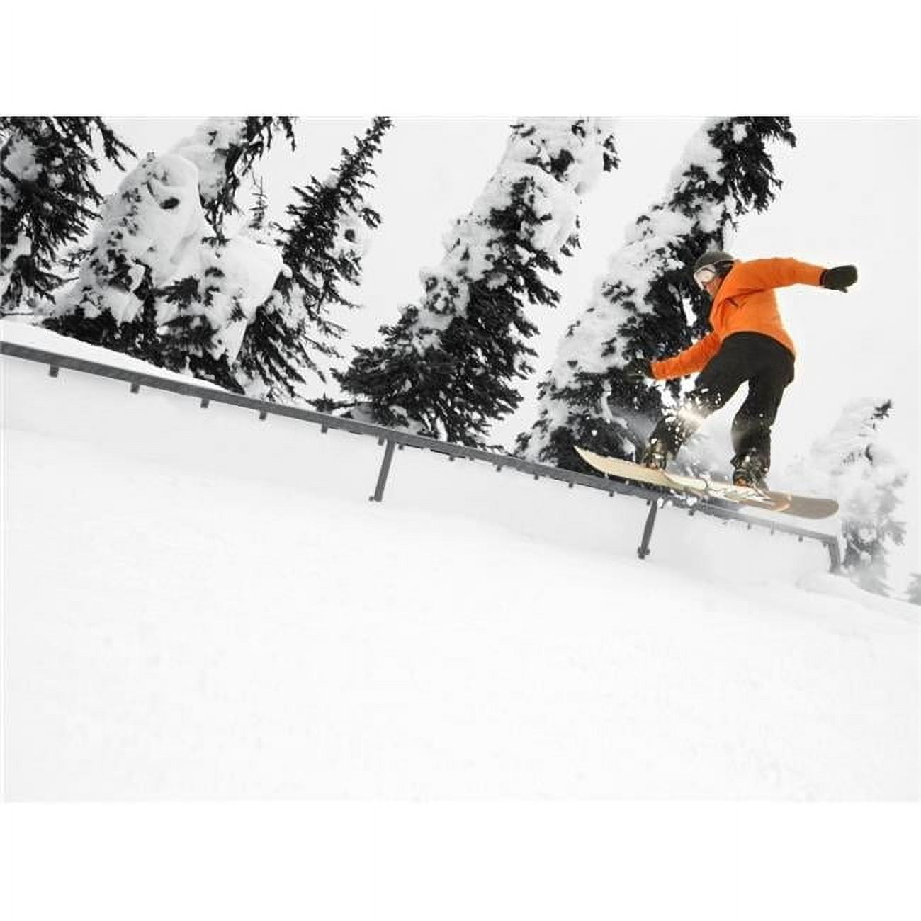 Person Snowboarding On A Railing Poster Print - Walmart Business Supplies