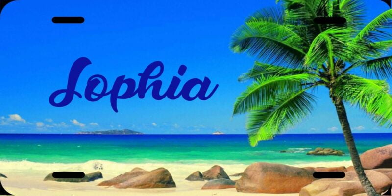 Personalized Beautiful Beach, License Plate New Car Tag Metal, USA ...