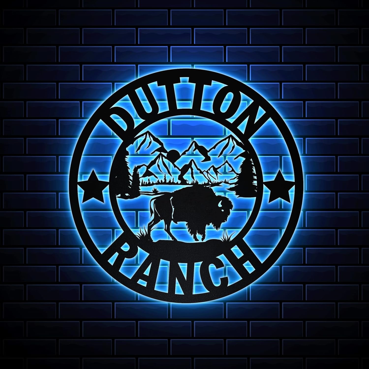 Personalized Buffalo Metal Sign LED Lights, American Bison Metal Sign ...