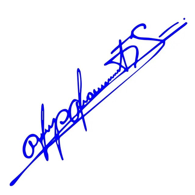 Personalized Car Sticker Schumacher Art Signature Lamp Eyebrows Die-Cut ...