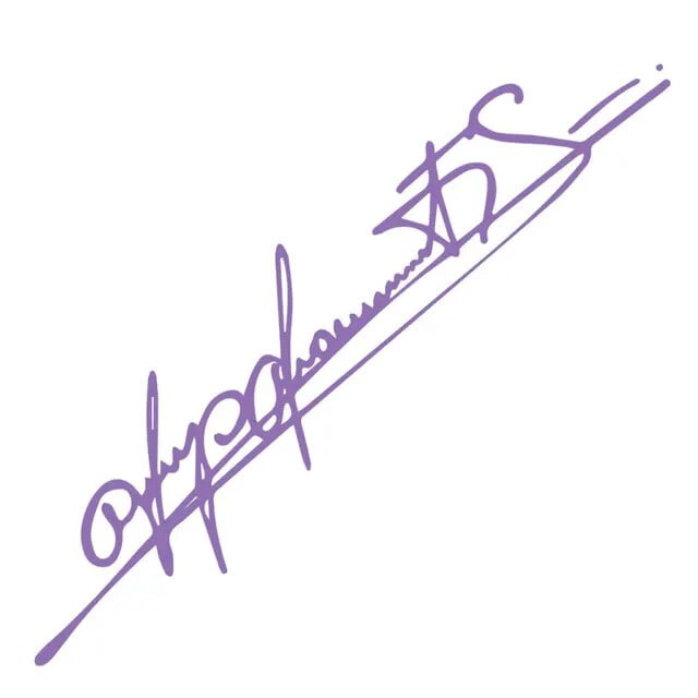 Personalized Car Sticker Schumacher Art Signature Lamp Eyebrows Die-Cut ...