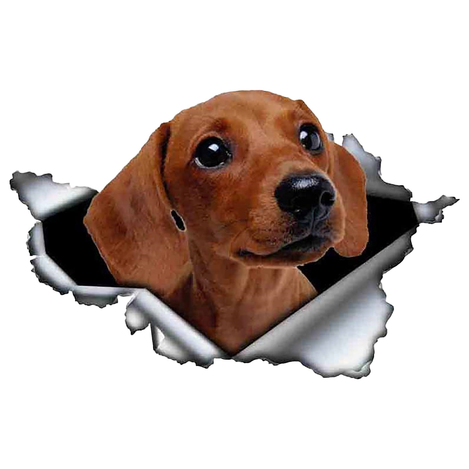 Personalized Car Stickers Simple And Delicate Design Suitable For All ...