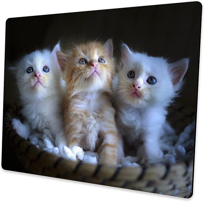Personalized Cute Kitten Mouse Pad, Rectangular Gaming Mouse Pad ...