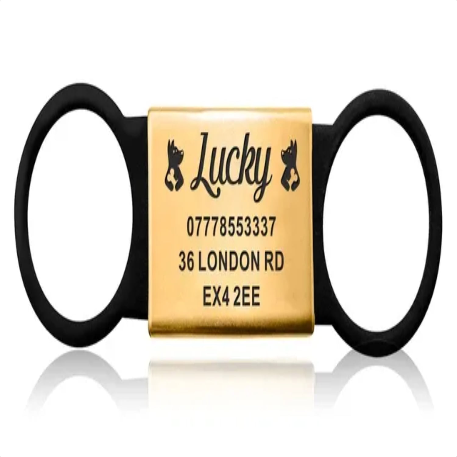 Personalized Engraved Unique Silent Slide-On Dog and Cat Name Tag ...