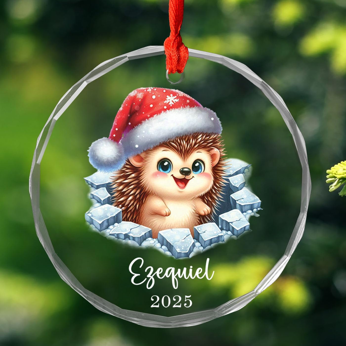 Personalized Hedgehog Glass Xmas Ornament Gift for Sister Brother ...