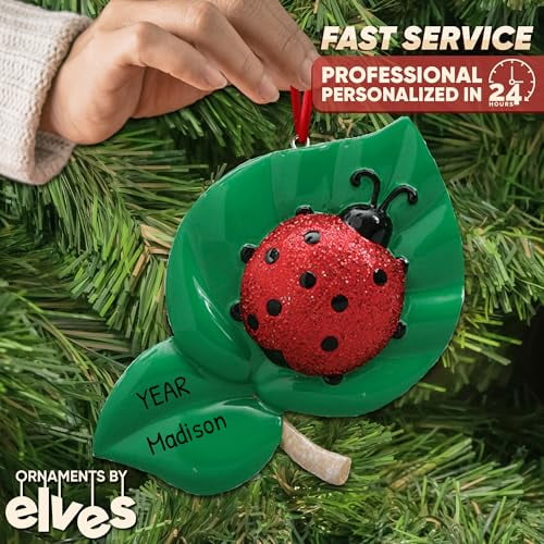 Personalized Lady Bug Ornaments 2024 - Ladybug Ornaments for Christmas ...