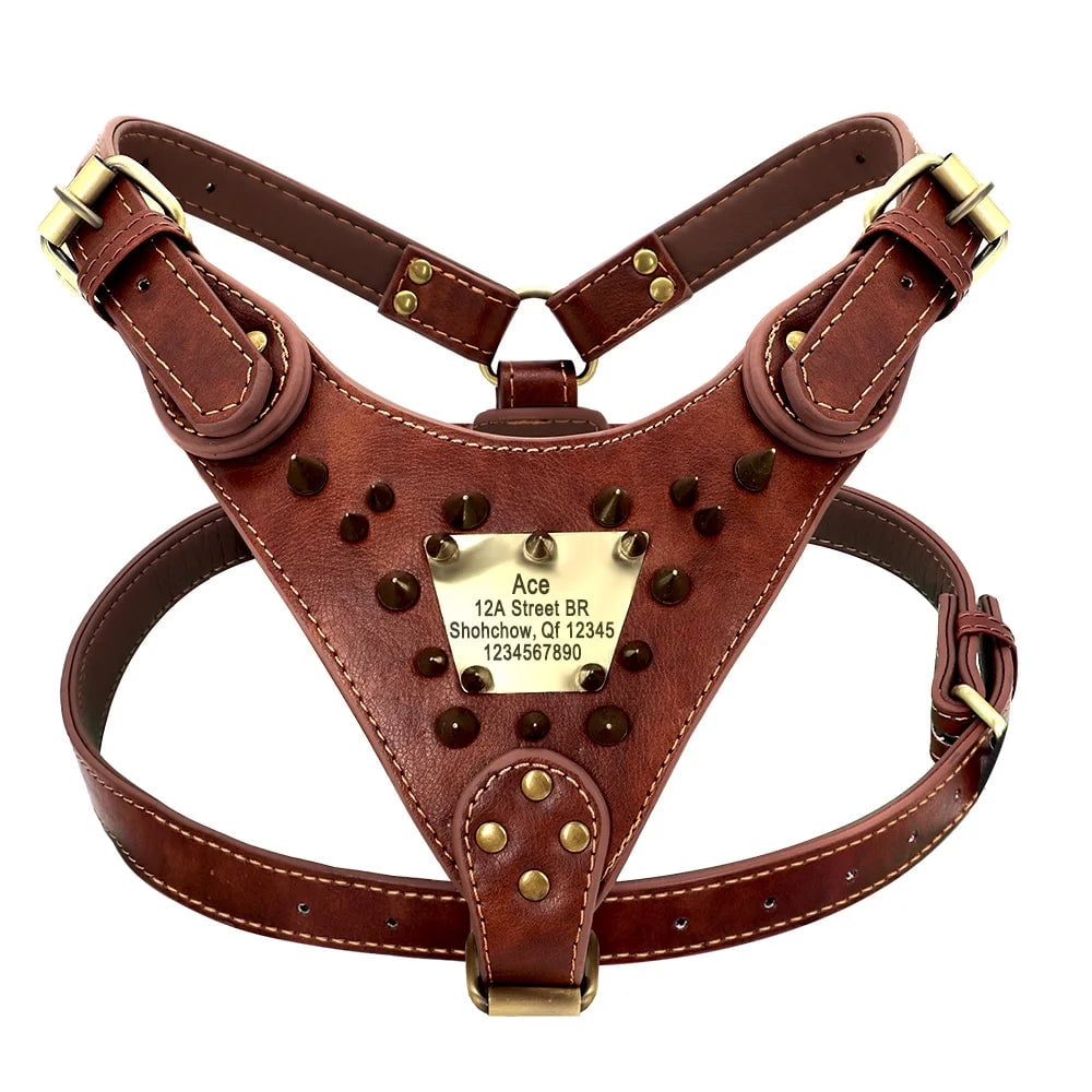 Personalized Leather Dog Harness Sharp Spiked Studded Dog Harness ...