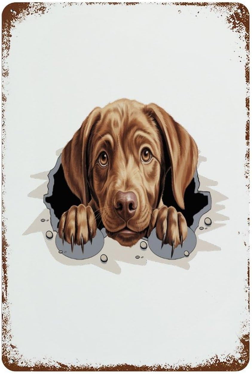 Personalized Metal Plaque Peeking Labrador Retriever Signs Cartoon Cute ...