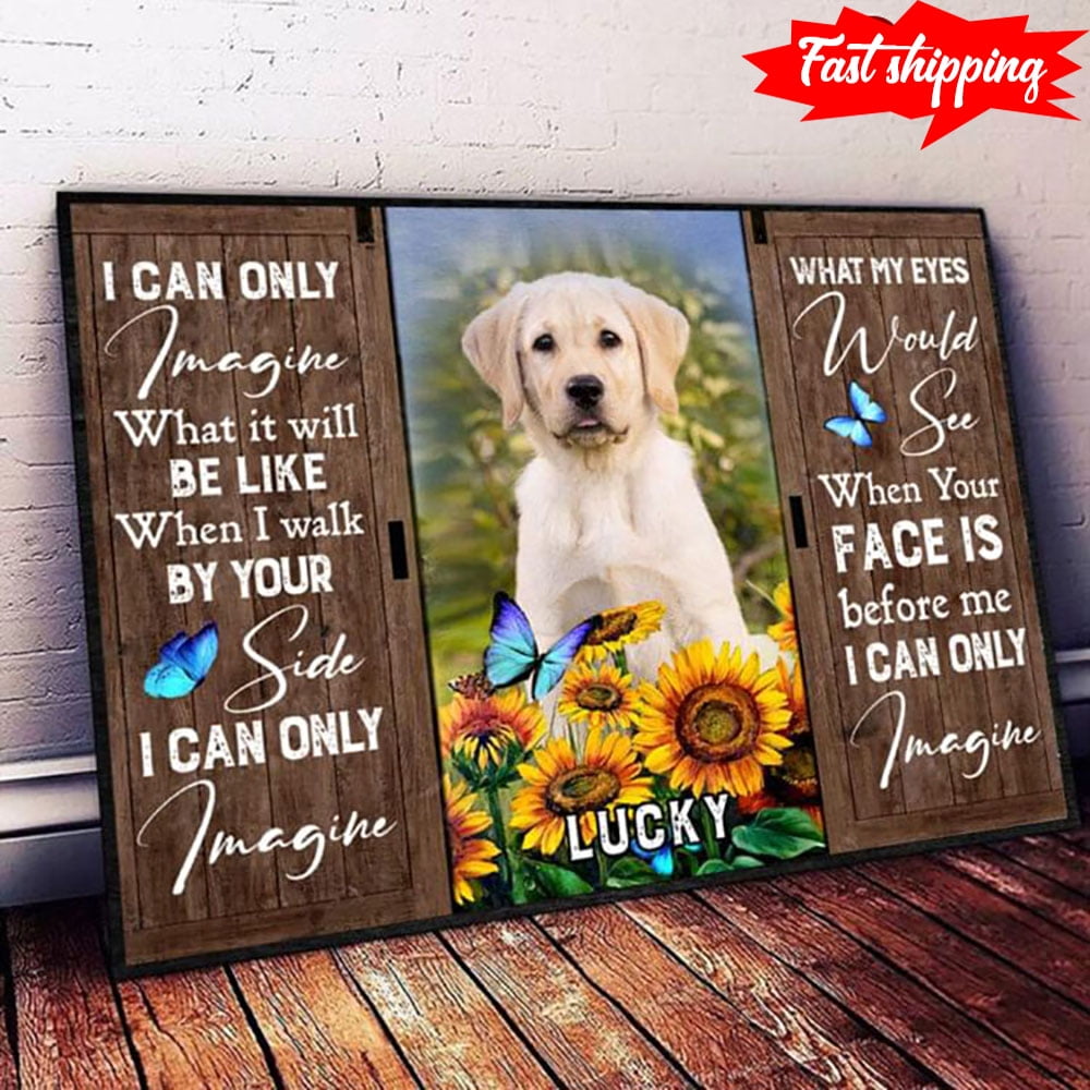 Personalized Pet's Name Barn Window Frame With Blue Butterflies Flying ...