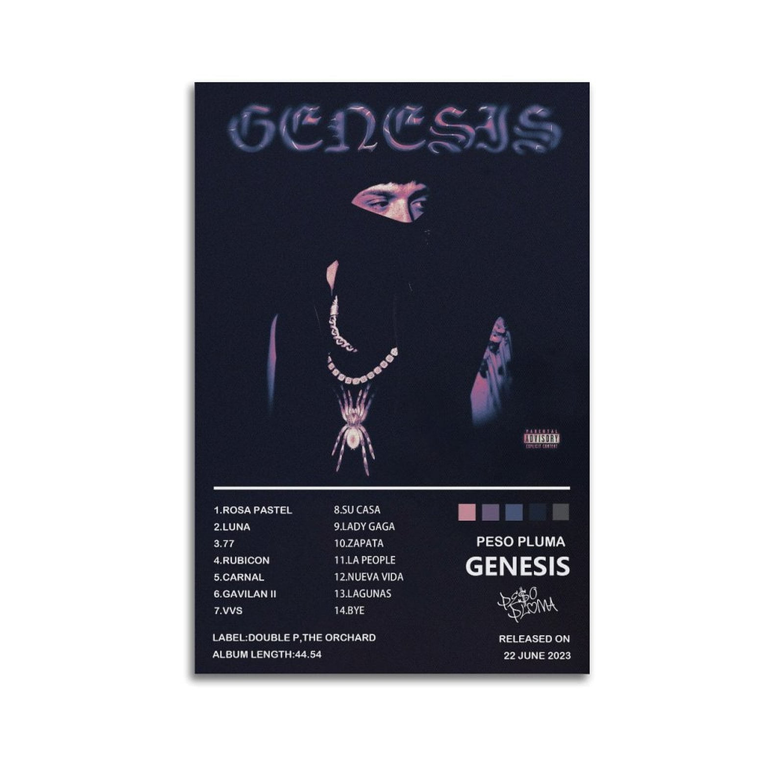 Peso Pluma Poster Pluma Genesis Album Cover Painting Vintage Poster ...