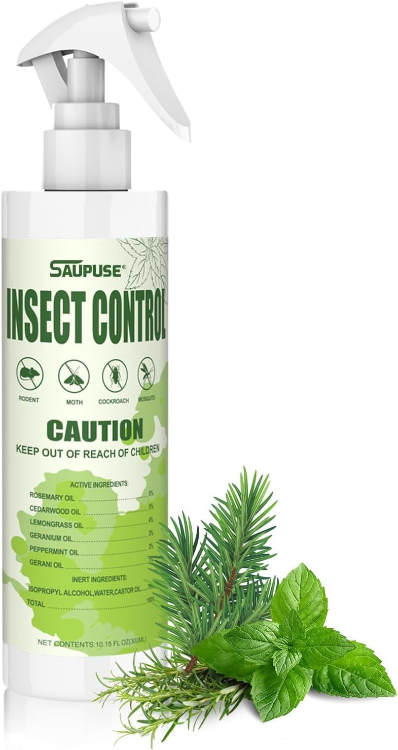 Pest & Insect Control Spray, Spider lent Indoor, Spiders, Ants ...