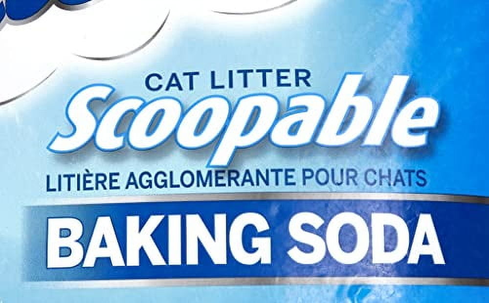 Pestell Easy Clean Clumping Cat Litter with Baking Soda, 40-Pound ...