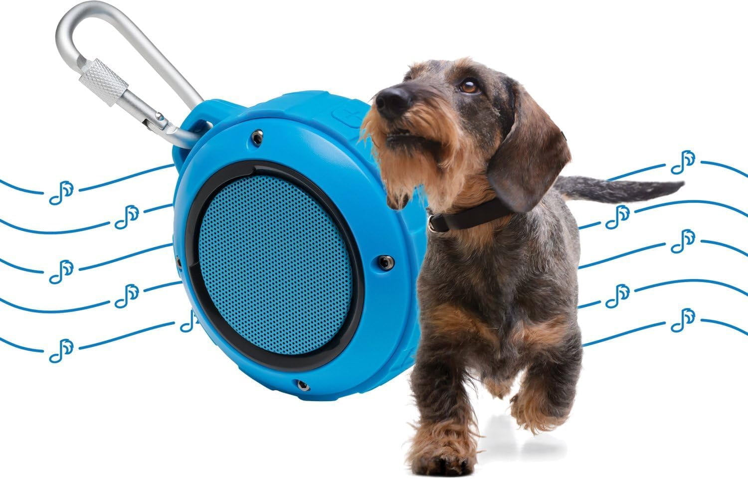 Pet Sounds Box Set
