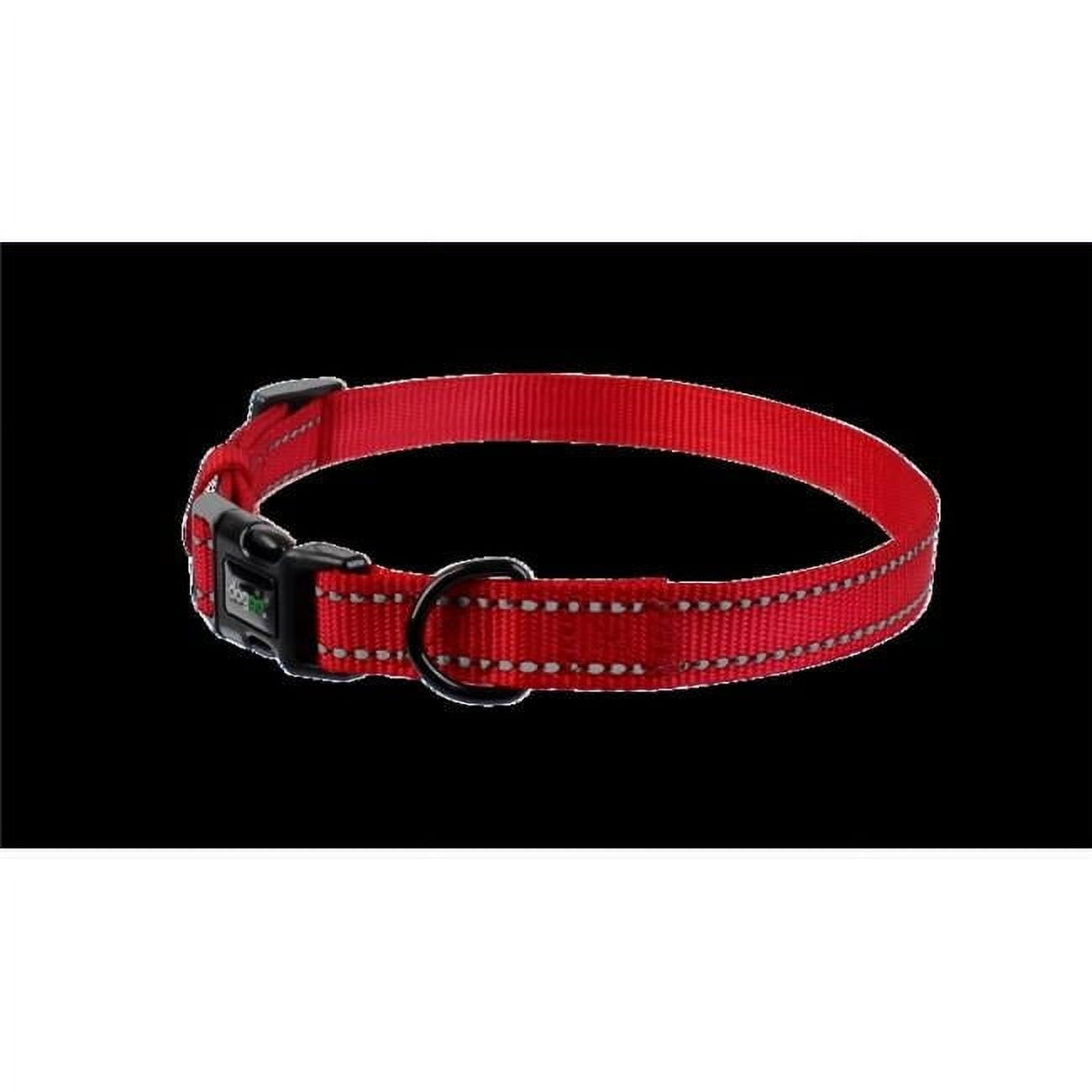 Pet Adventures DGO CLR RD SM 10 x 14 in. Nylon Collar with Reflective ...