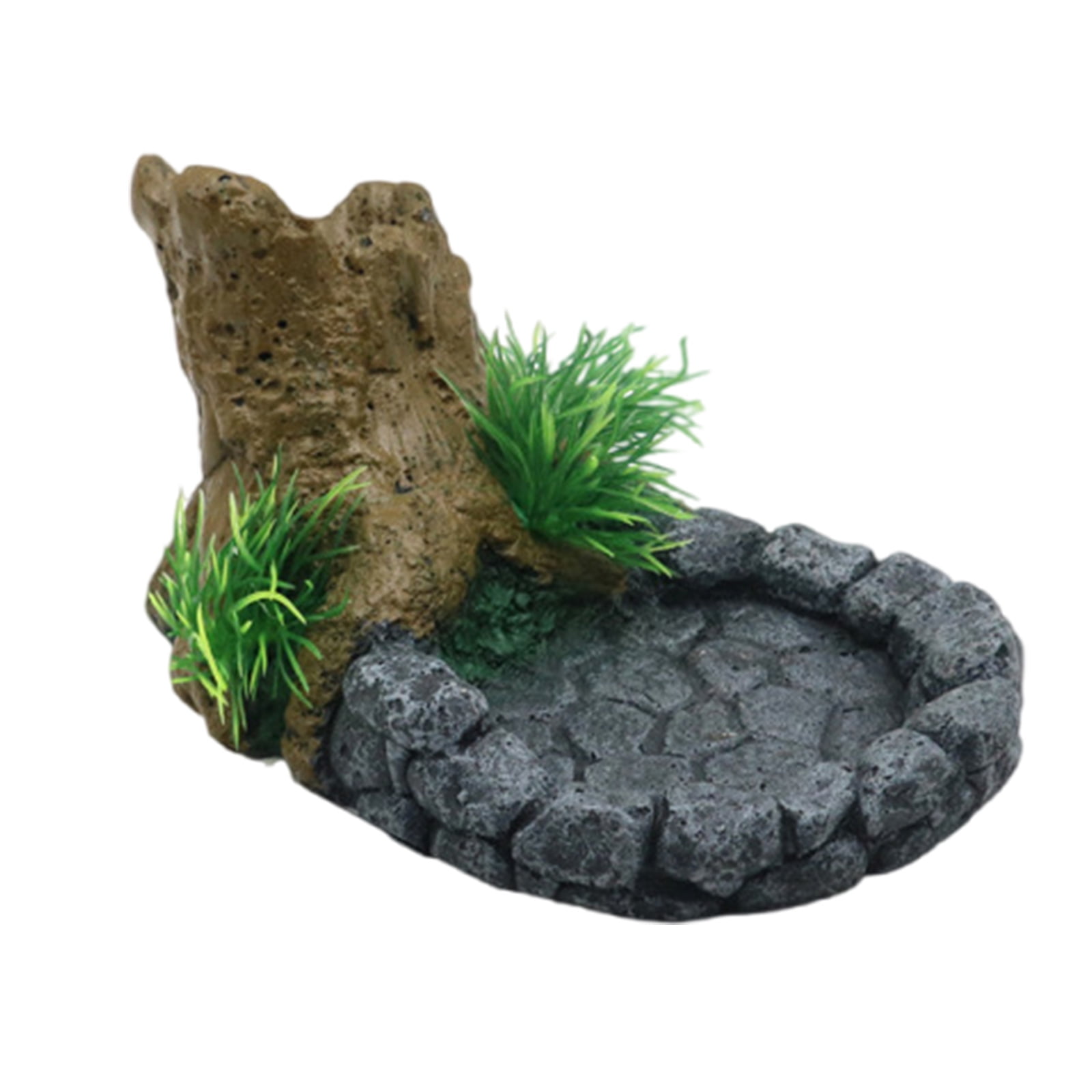Pet Amphibians Drinking Basins Aquariums Landscaping Decoration Pet ...