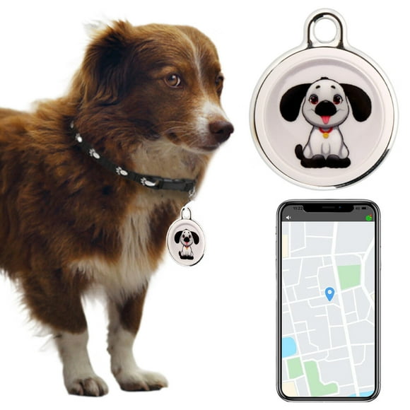 Gps Chip For Dogs