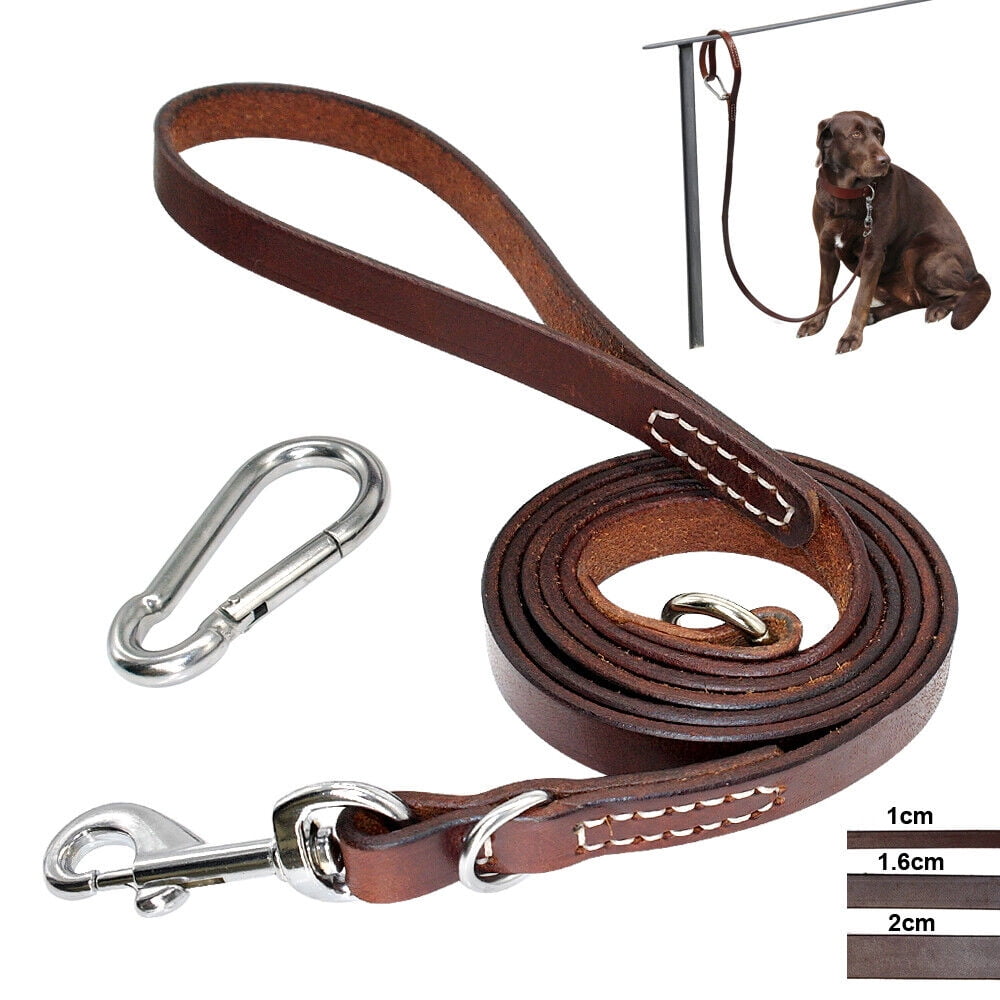 Pet Artist 6FT Real Leather Dog Leash Heavy Duty Training Leashes with ...