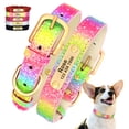 Pet Artist Custom Bling Glitter Dog Collar Personalized Pet Puppy ID ...