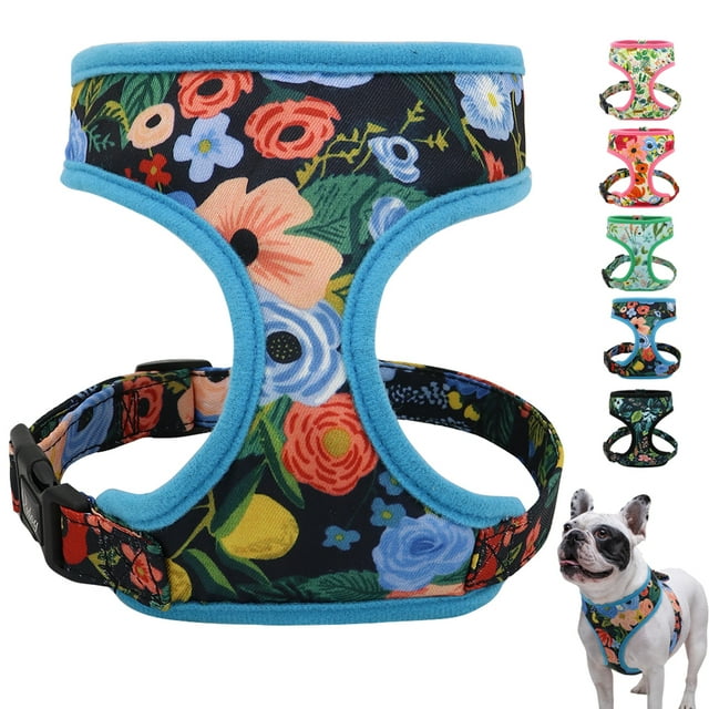 Pet Artist Cute Floral Dog Harness Soft Breathable Mesh Walking Vest ...