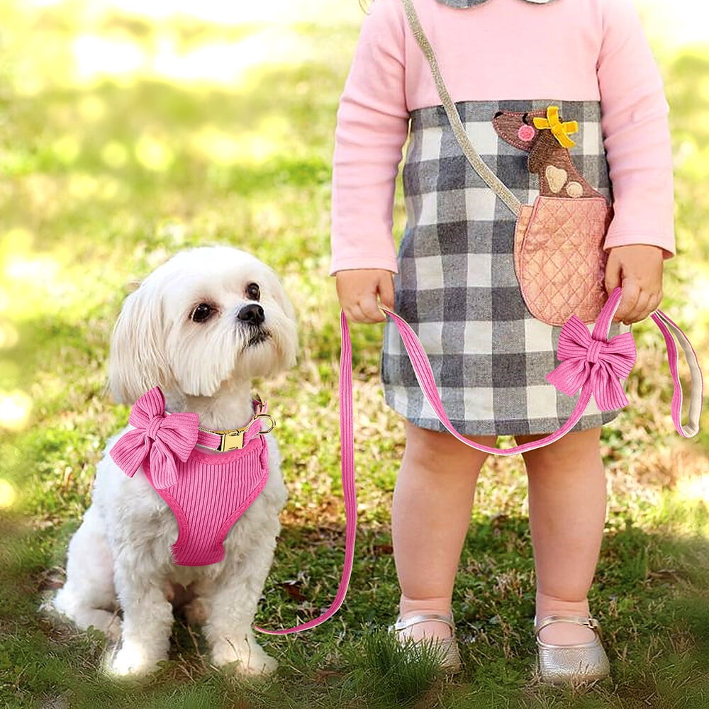Pet Artist Cute Girl Dog Harness and Leash and Bowtie Collar Set Soft ...