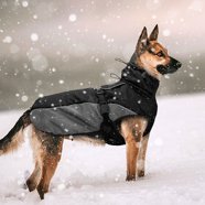 Dog Coat Large Dog Winter Clothes Thick Hoodie Dog Jacket Greyhound ...