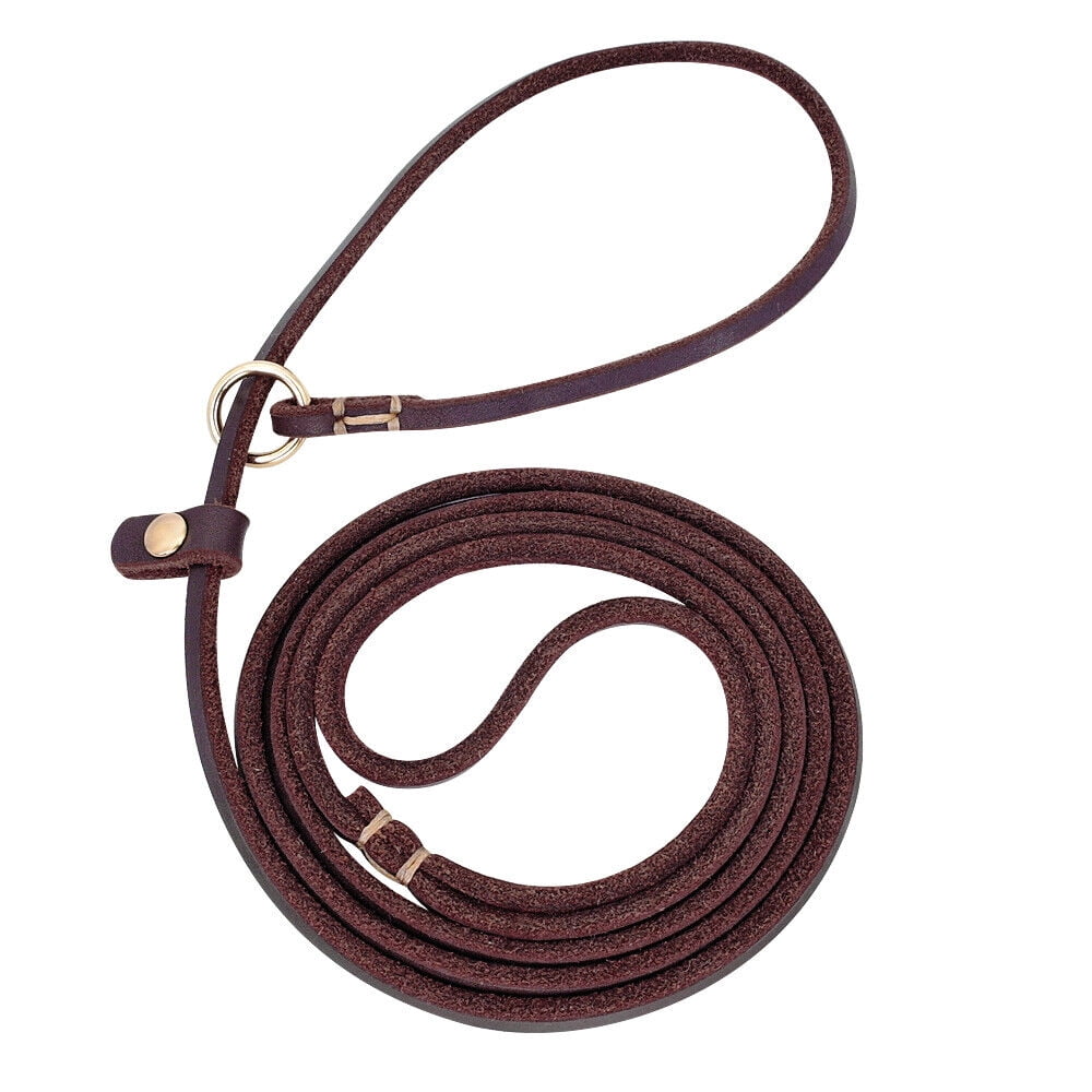 Pet Artist Dog Slip Leash Small Dog Pet Puppy Leather Training Walking ...
