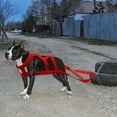 Pet Artist Dog Weight Pulling Harness Heavy Duty Training Large Dogs No Pull Pitbull Husky ...