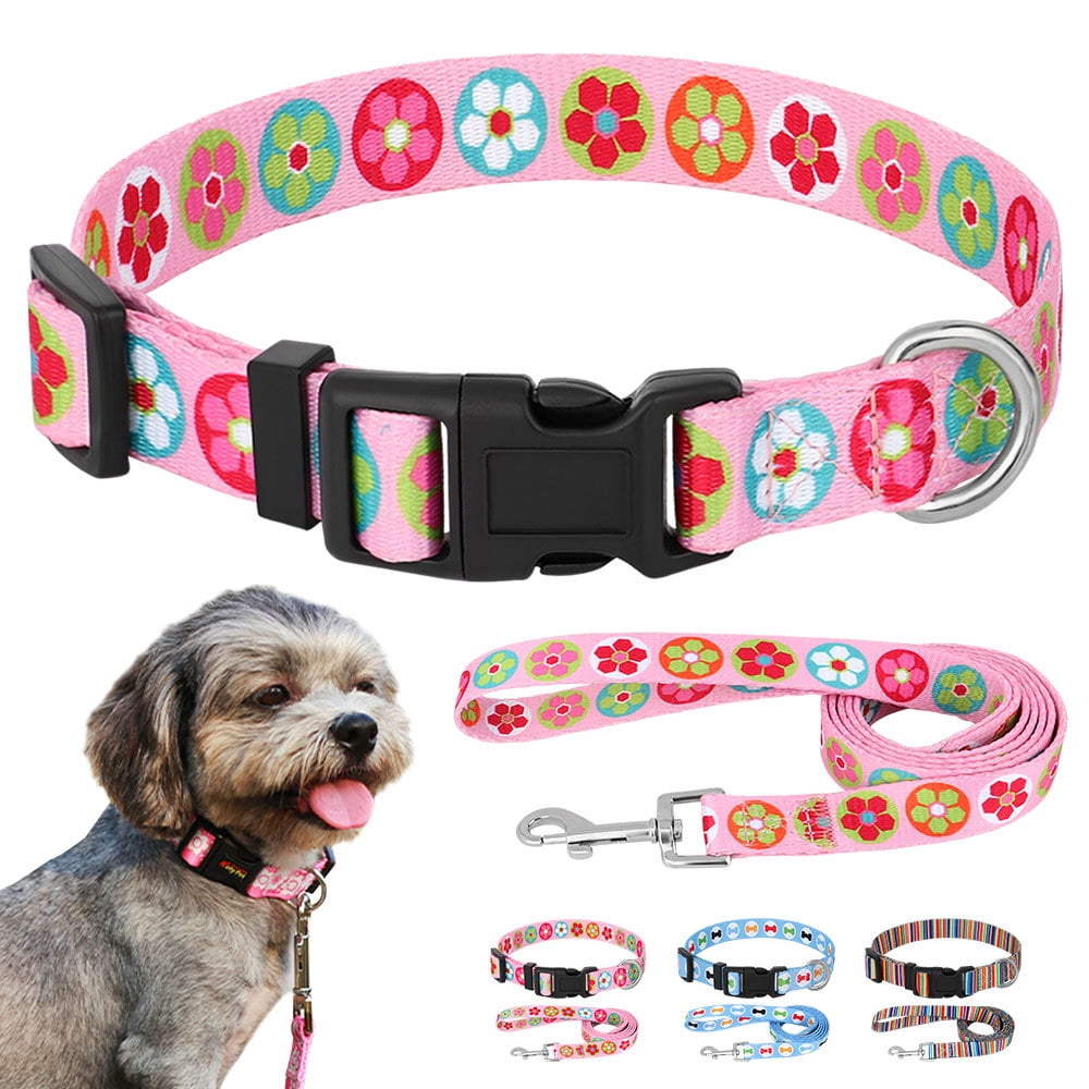 Pet Artist Fashion Floral Adjustable Nylon Dog Collar and Leash Set for ...