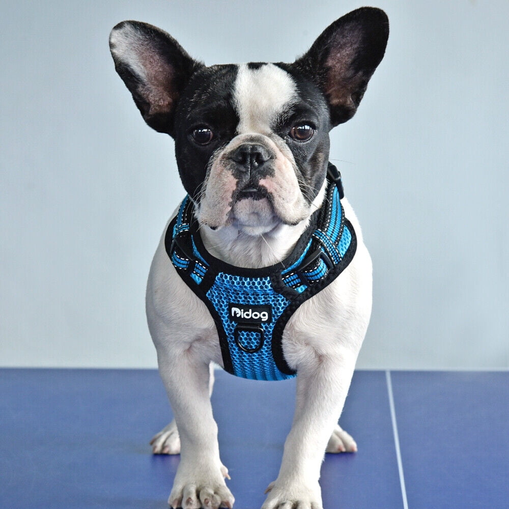 Pet Artist Front Leading Dog Harness Reflective Adjustable Pet ...