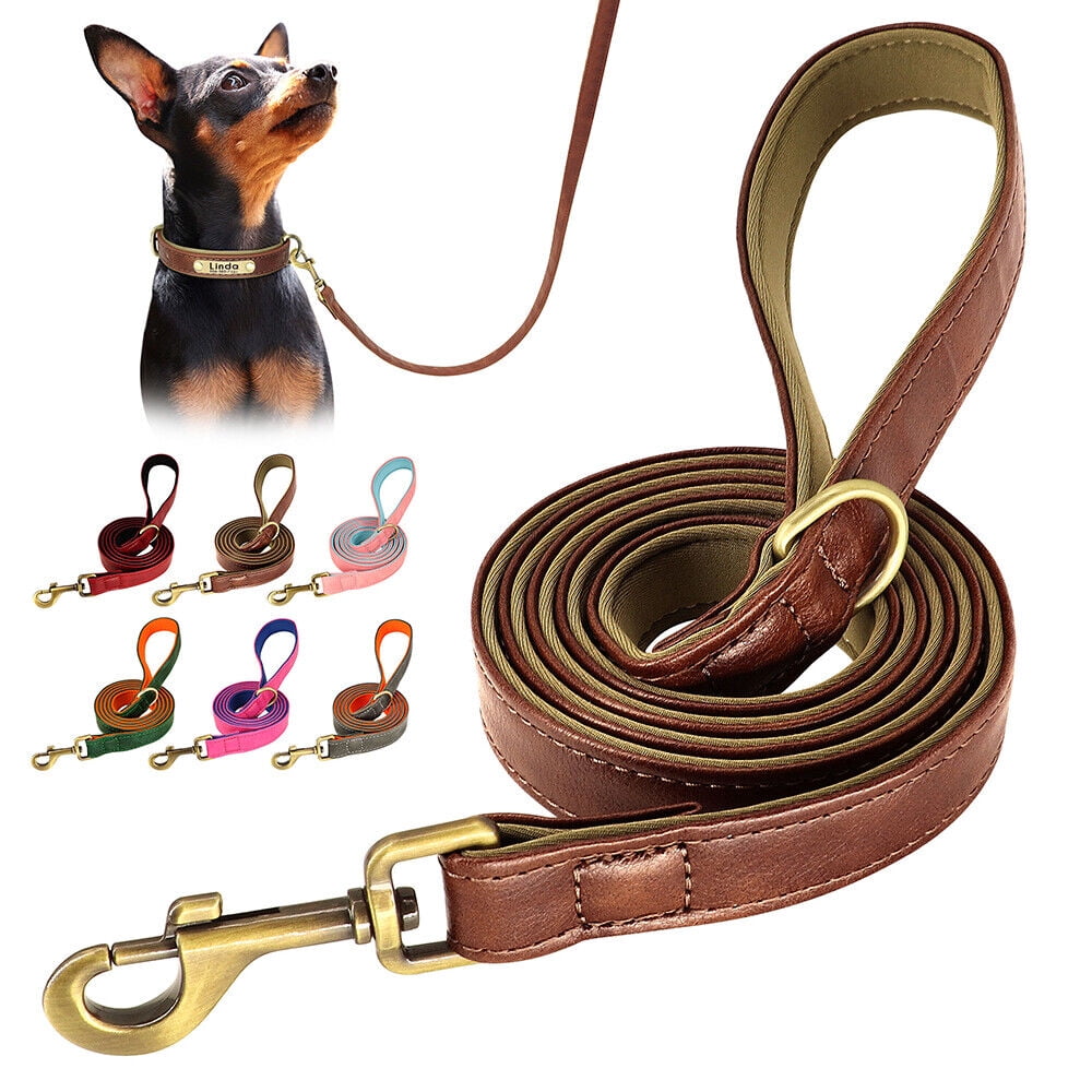 Pet Artist Genuine Leather Dog Leash Walking Leashes with Soft Handle ...